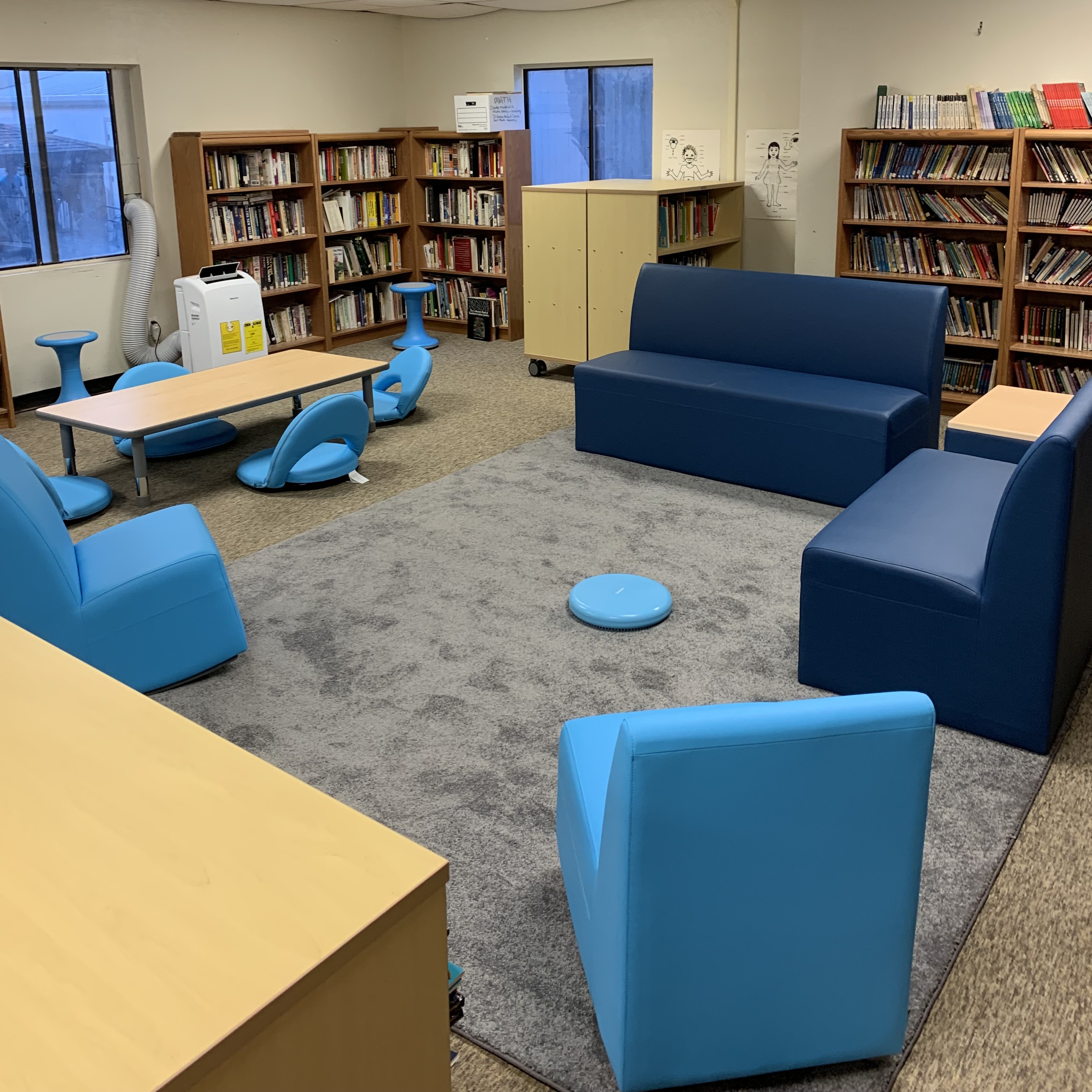 Elementary School Library Seating