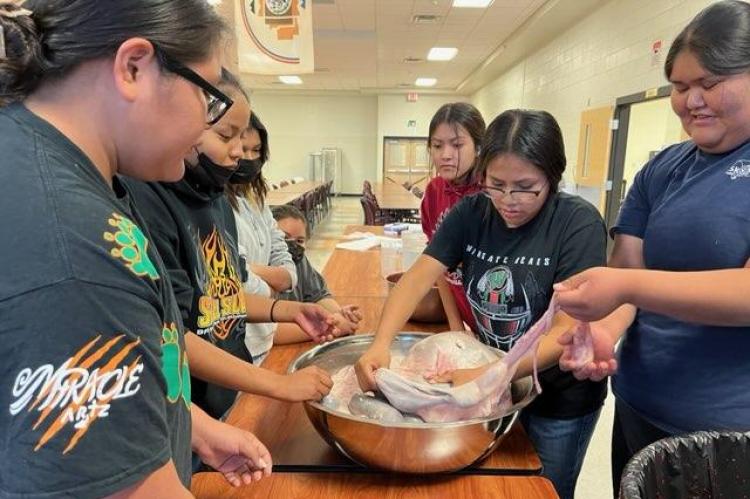 Indigenous Food Hubs | Bureau of Indian Education
